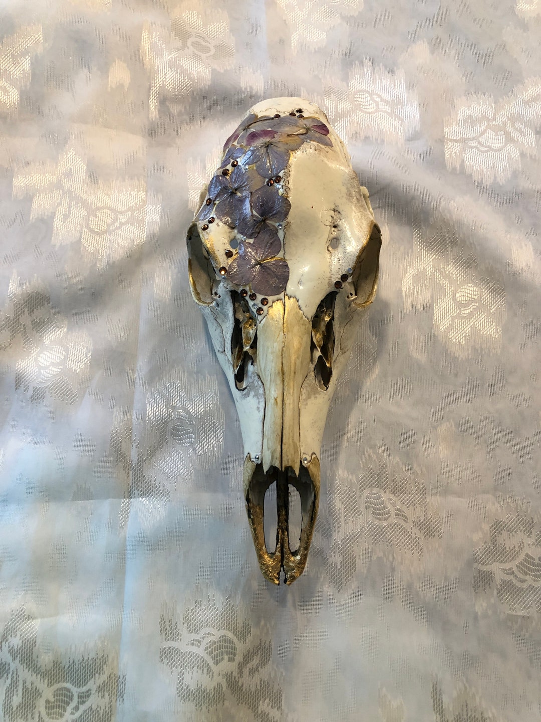 Doe Skull Real Pressed Flowers, Crystals and Hand Painted - Etsy