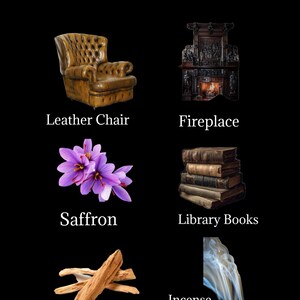 ACADEMIA PERFUME | Leather, Smoke, Library Books | Gender Neutral ...