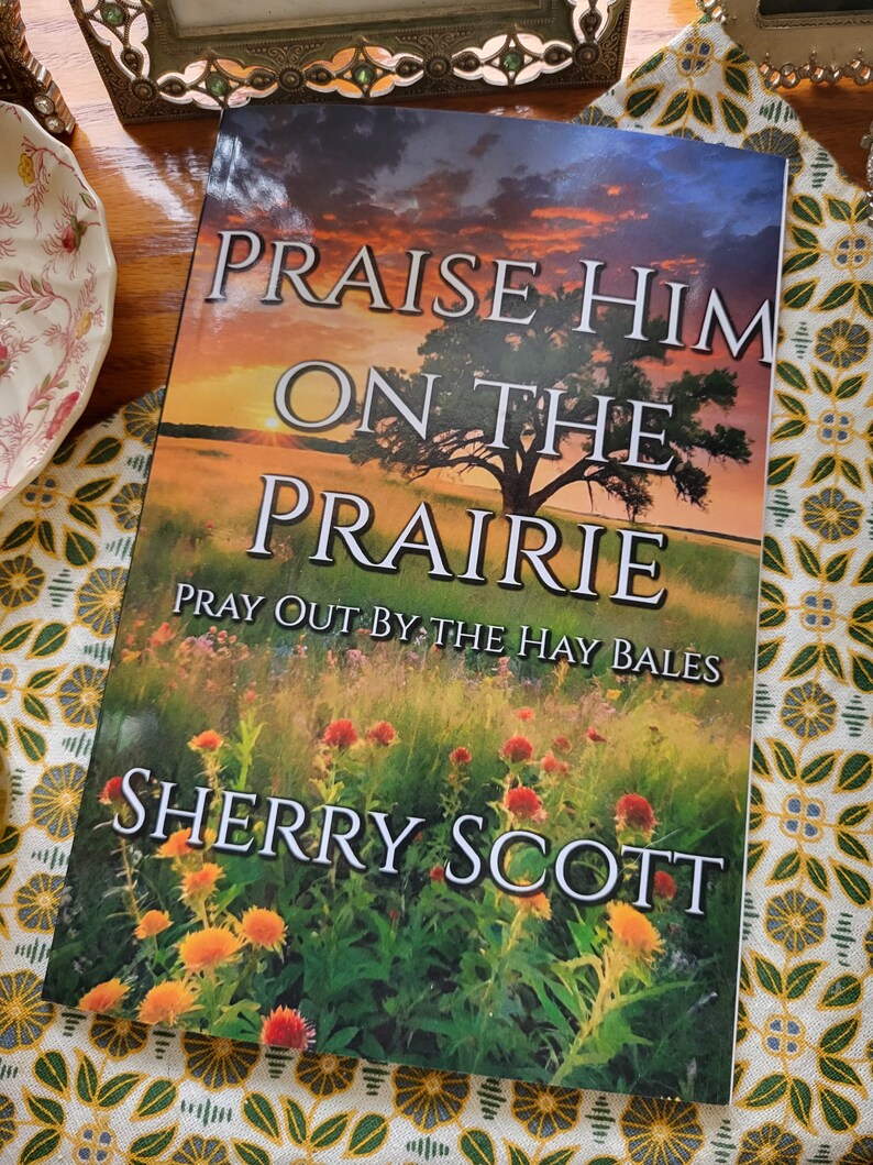 Praise Him on the Prairie, Pray Out by the Hay Bales, Paperback - Etsy
