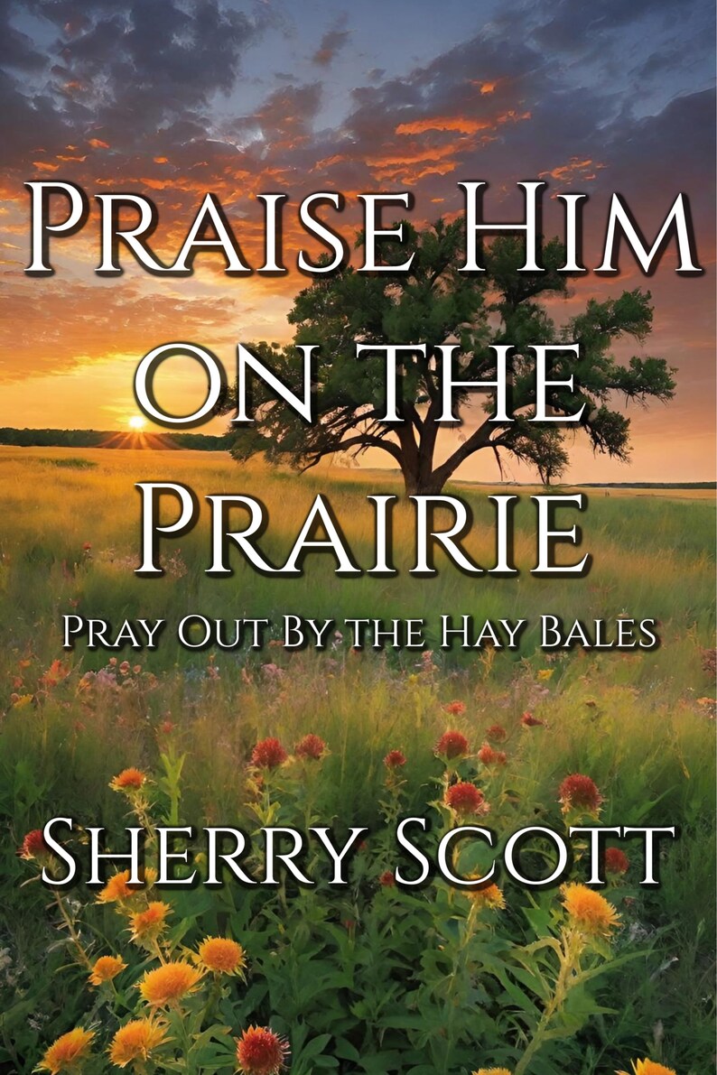 Praise Him on the Prairie, Pray Out by the Hay Bales, Paperback - Etsy