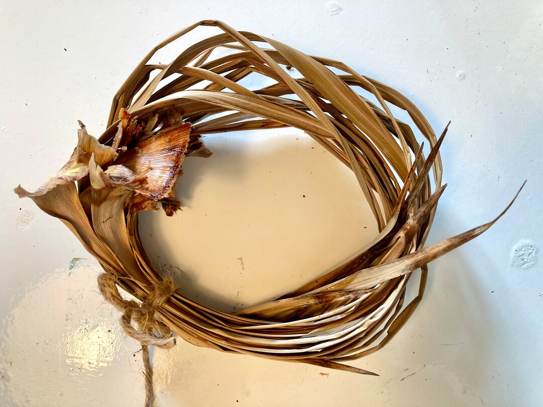 Cordyline/ Cabbage Tree/ Giant Dracaena Leaves for Basket Weaving ...