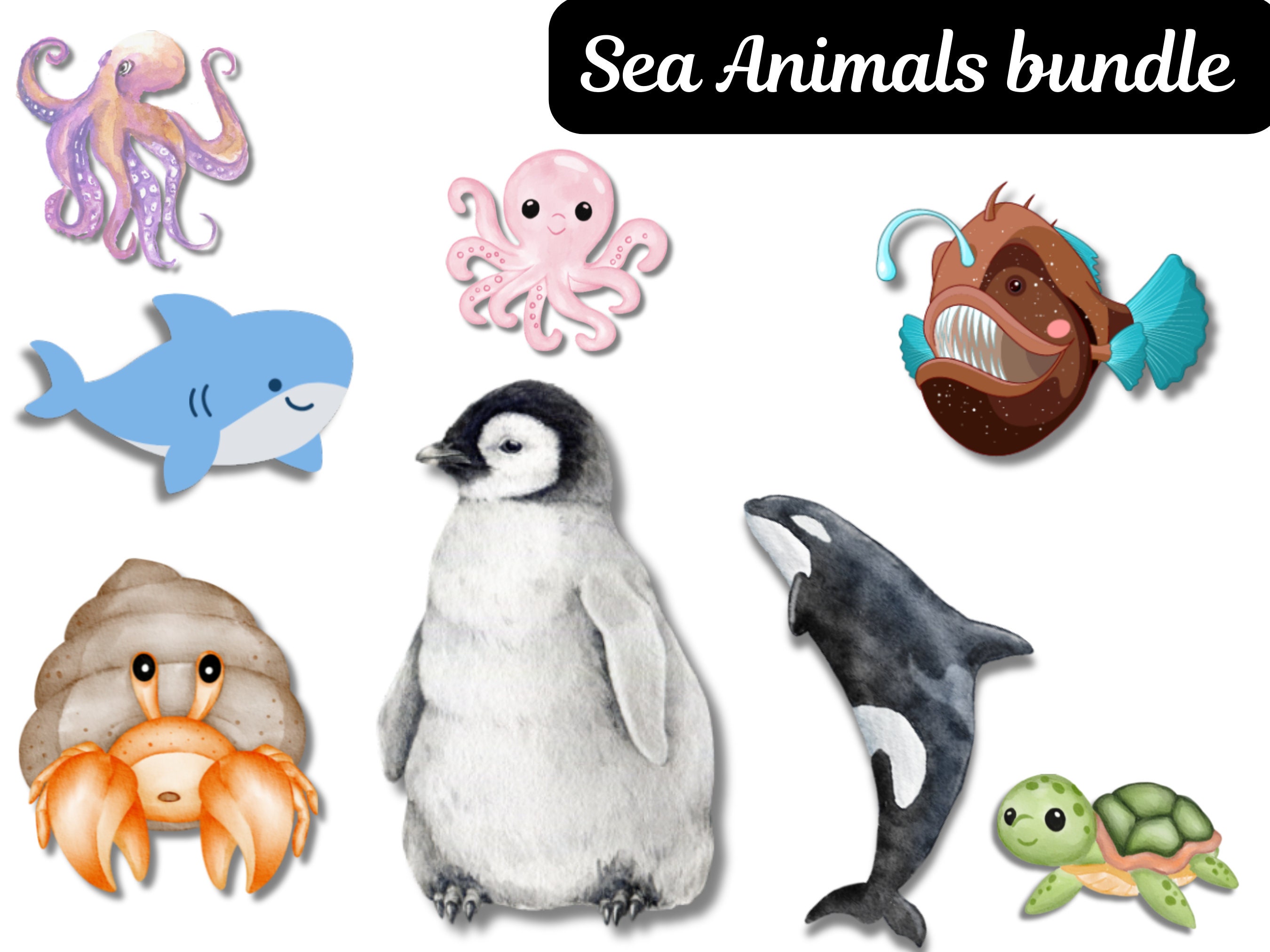 Digital Clipart, Sea Animal Clipart, Sea Animal Boot Png, Clipart ...