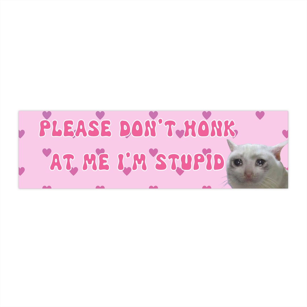 Please Don't Honk at Me I'm Stupid Bumper Sticker, Crying Cat Meme ...