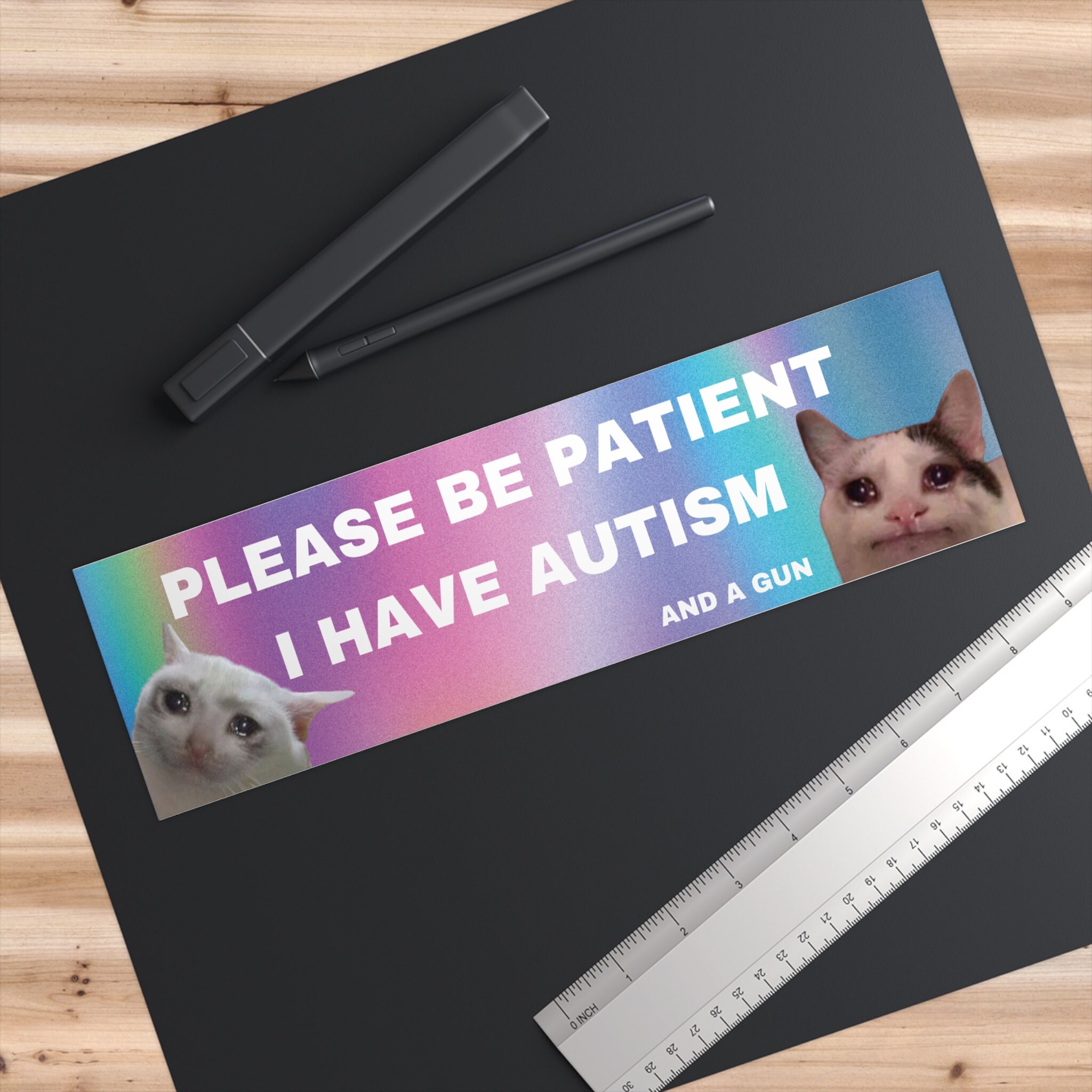 Unhinged Bumper Stickers, Funny Gen Z Gifts, Crying Cat Meme Sticker ...