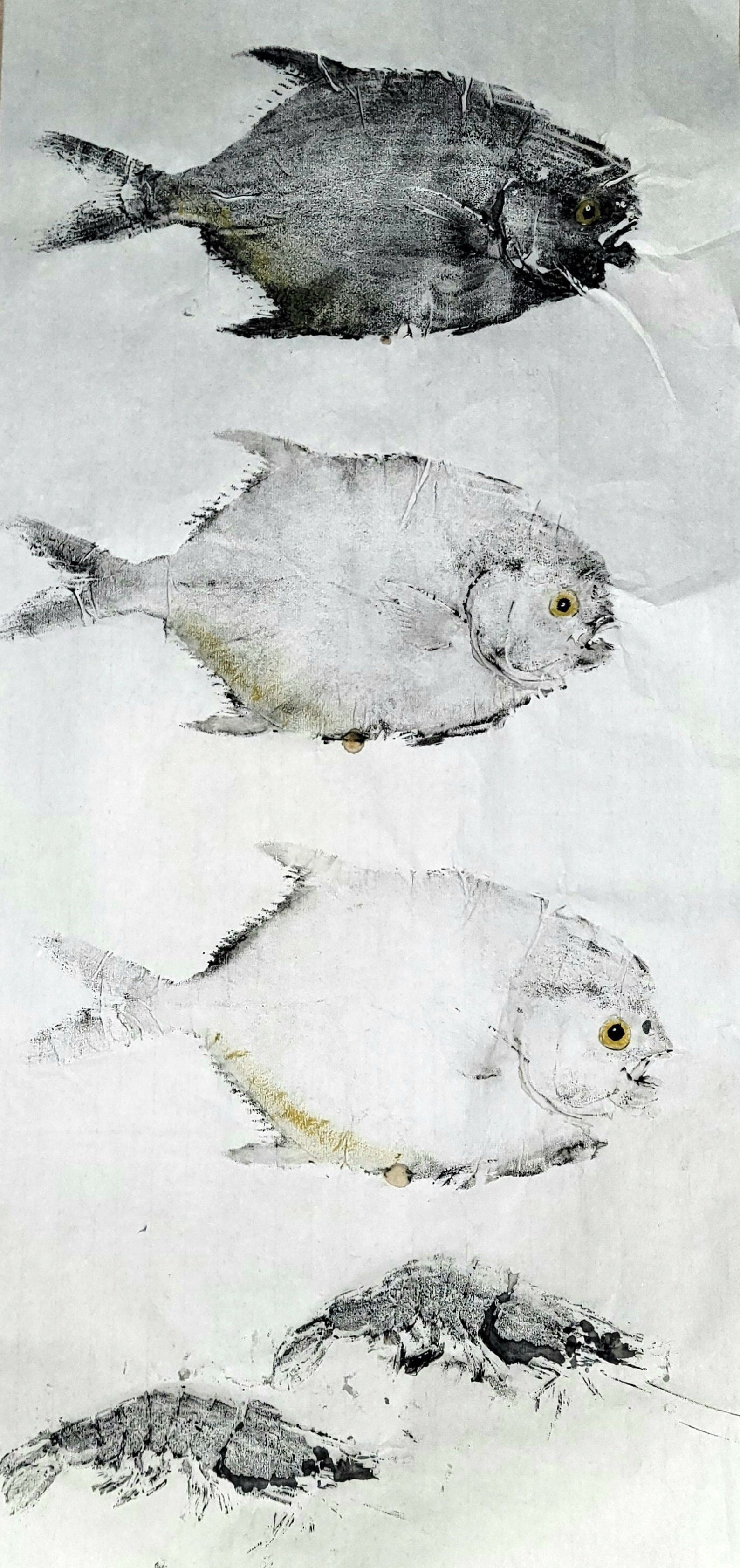 Tres Pompano With Shrimp Gyotaku Art Print - Etsy