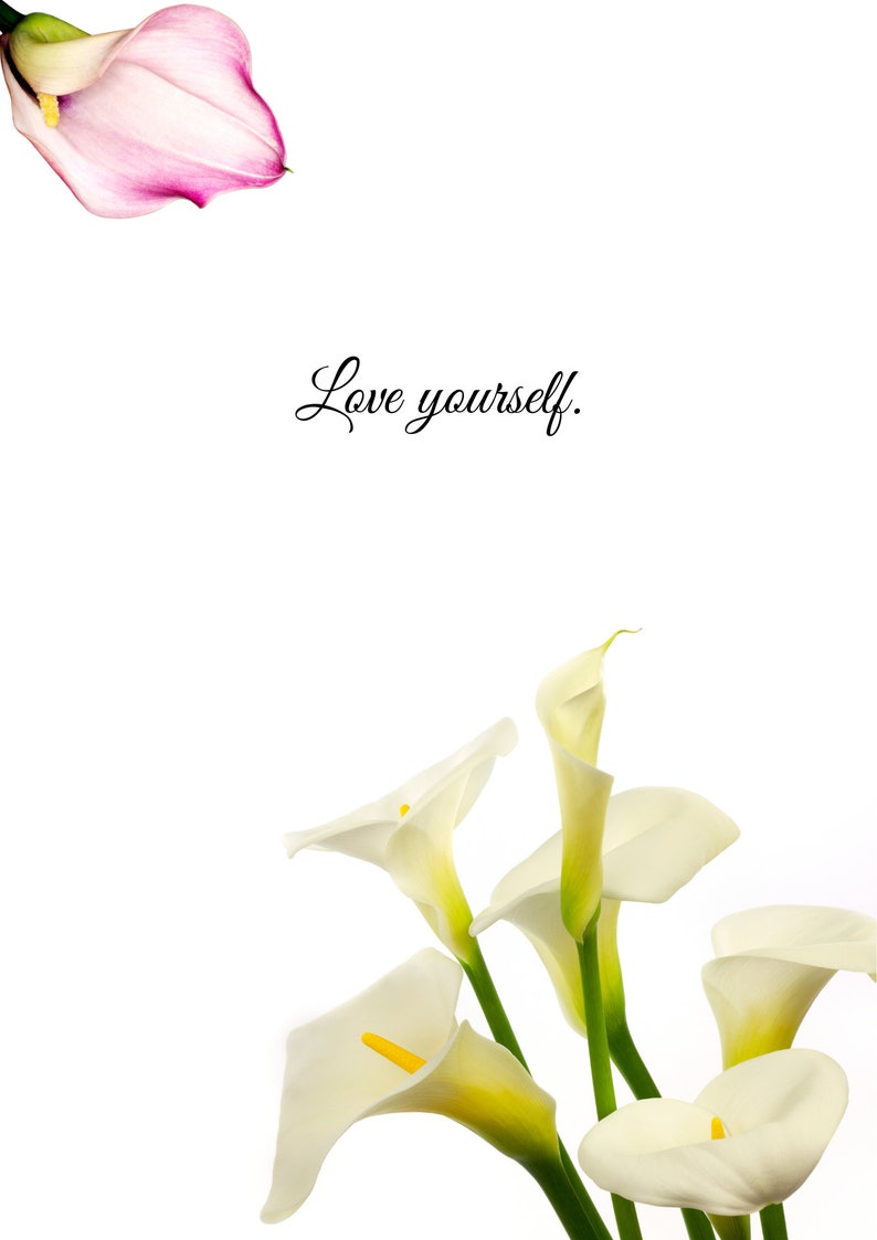 Spring Flowers, Motivational Quotes, Wall Art, Home Decoration ...