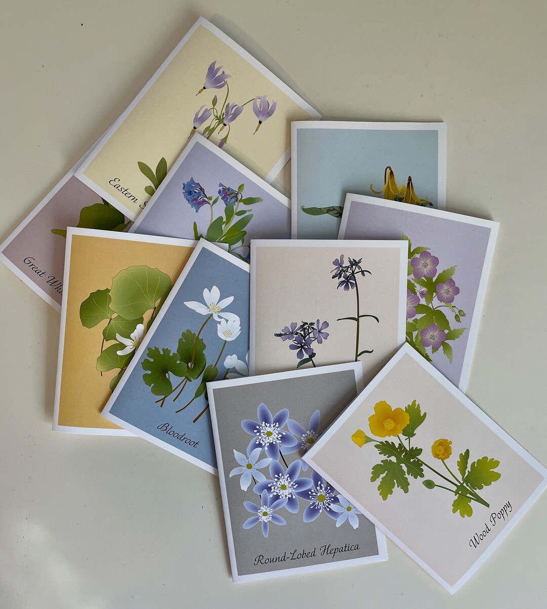 Spring Ephemeral Wildflower Notecards - Etsy