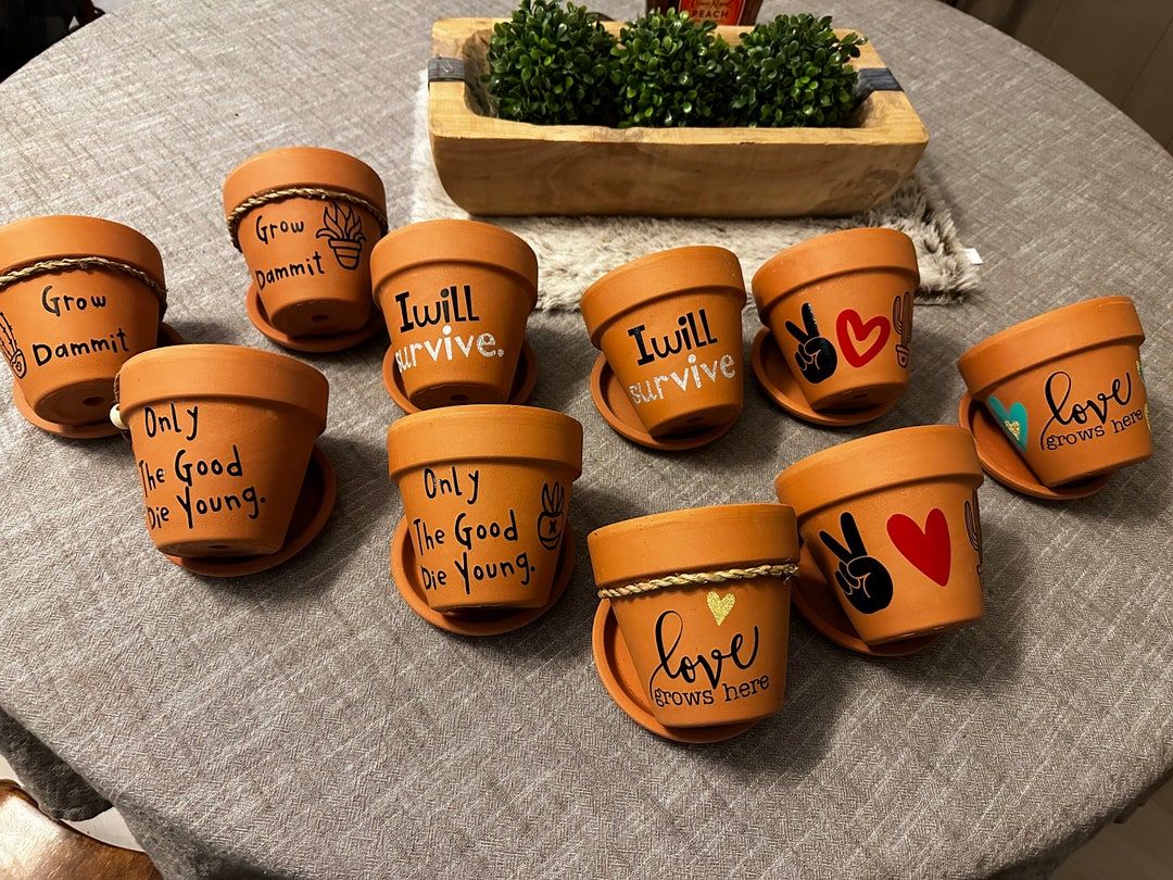 Plant Pots 4 Inch Sassy - Etsy