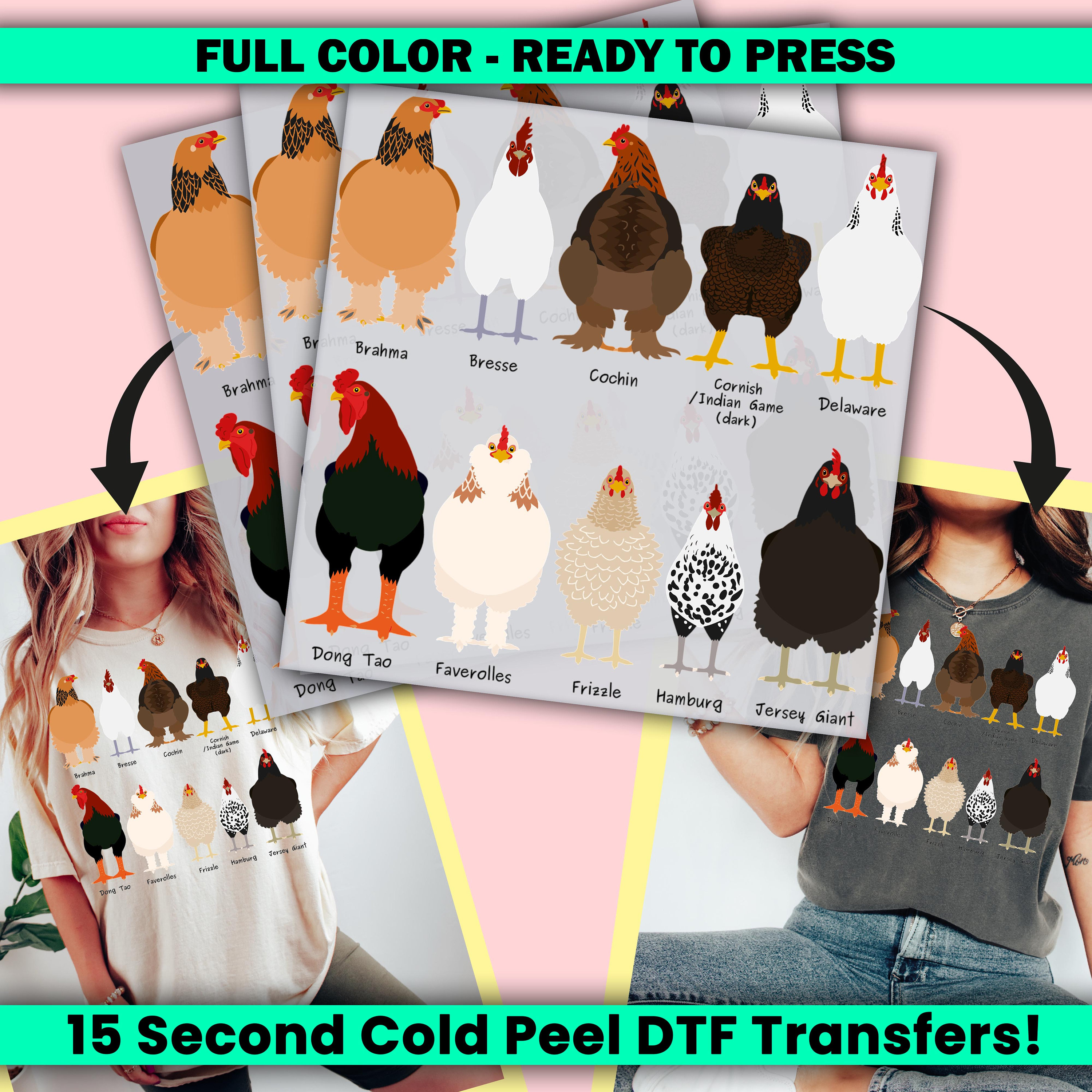 Chicken Breeds DTF Transfer, Ready to Press, Personalized DTF Transfers ...