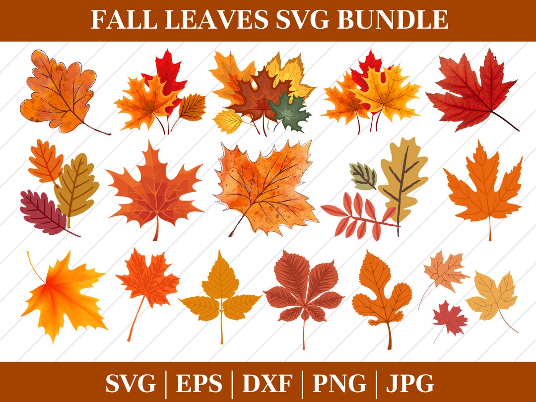 Fall Leaves Svg, Fall Svg, Fall Leaf Svg Bundle, Fall Png, Dxf, Clipart ...
