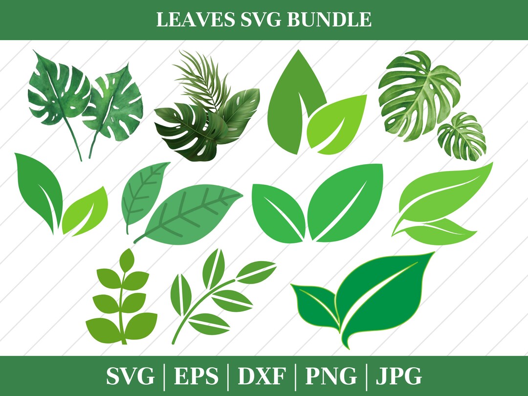 Leaf SVG Bundle, Leaves Svg Bundle, Leaf Clipart, Leaf Svg Cut Files ...