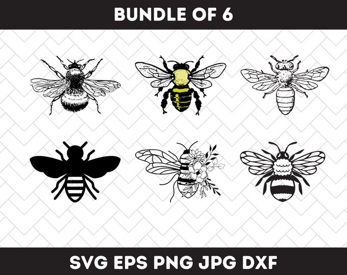 INSECT SVG, Butterfly Svg, Insect Clipart, Dragonfly Svg, Bug Svg ...