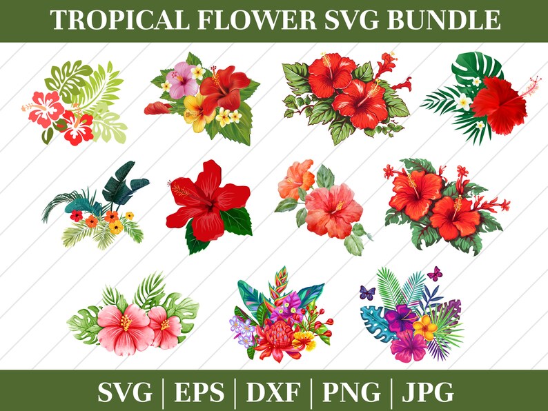 Flowers Svg, Flower Svg, Hibiscus Svg, Tropical Flower Svg, Hawaiian ...