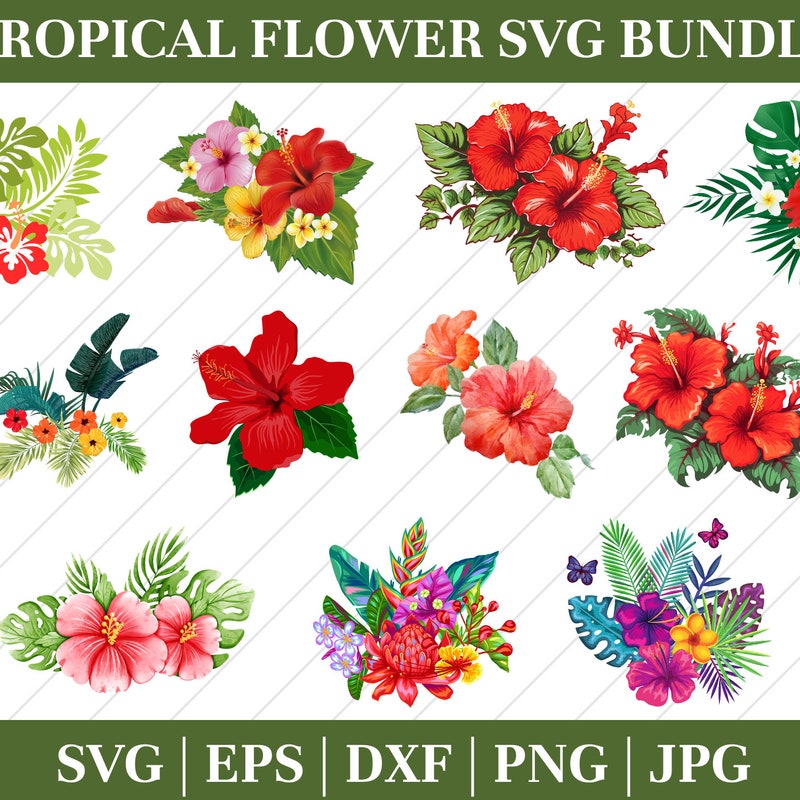 Hawaiian Flower Svg - Etsy