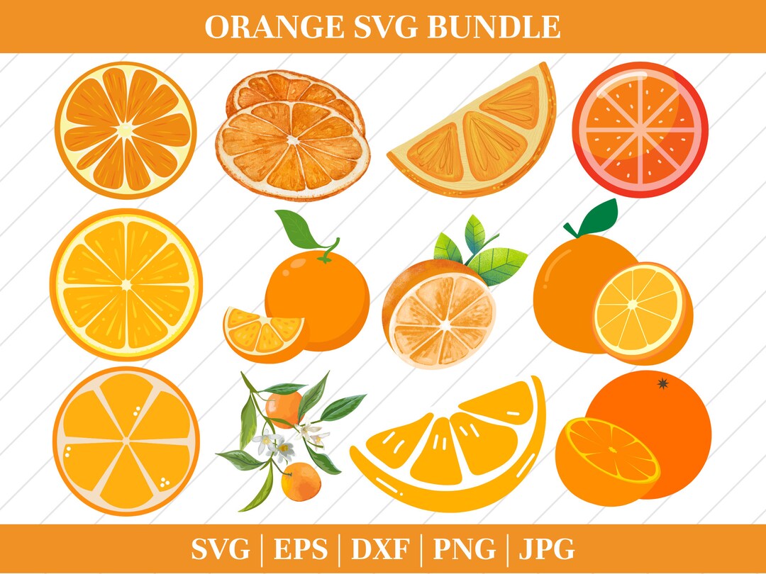 Orange Slice SVG, Orange SVG Bundle, Fruits Bundle, Fruits SVG, Orange ...