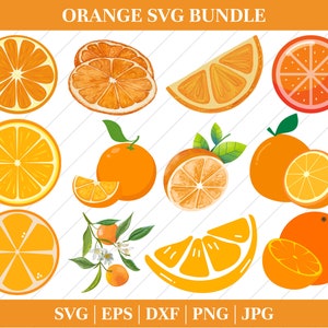 Orange Slice SVG, Orange SVG Bundle, Fruits Bundle, Fruits SVG, Orange ...
