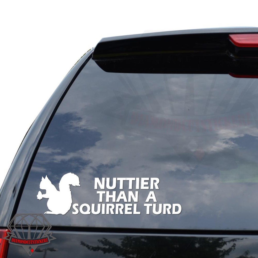 Nuttier Than A Squirrel Turd Nut Acorn Sticker Decal for Car Truck ...