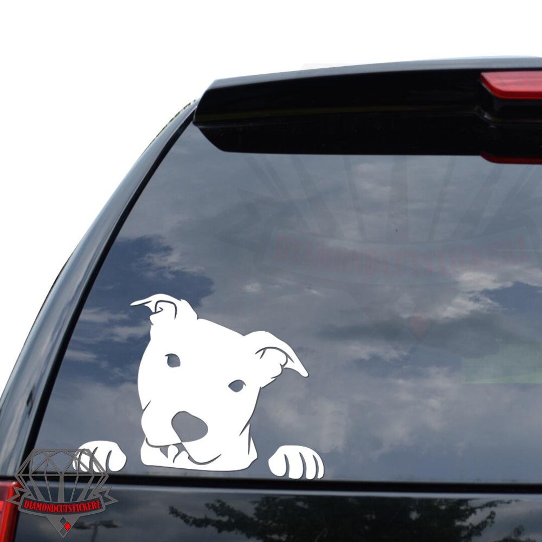 Pit Pull Pitbull Dog Pet Peeking Peeking Sticker Decal for Car Truck ...