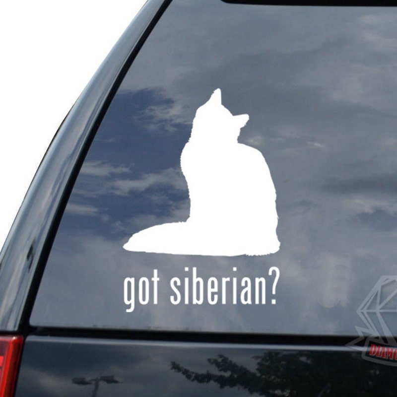 Siberian Cat Accessories - Etsy