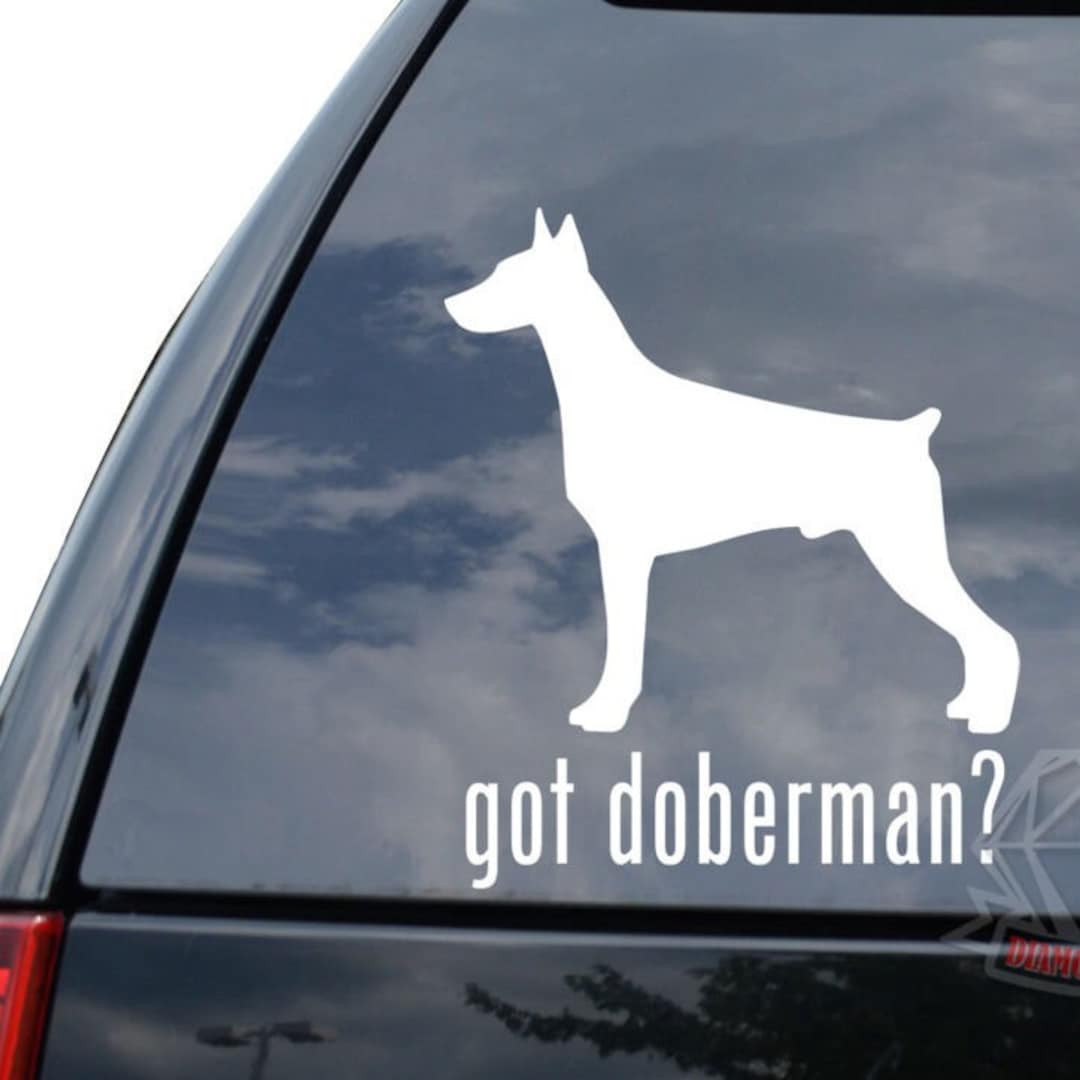 Got Doberman Pinscher Dog Dobie Dobe Pet Lover Sticker Decal for Car ...