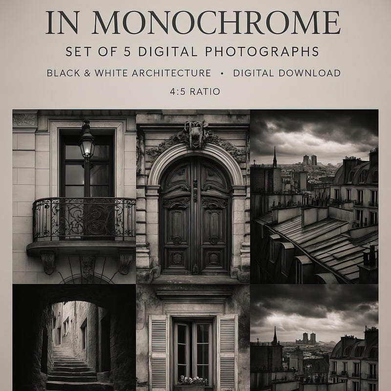 Black and White in French - Etsy