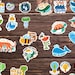 Environmental Sticker Pack - 100 Eco Friendly, Earth Day Decals, Reduce ...