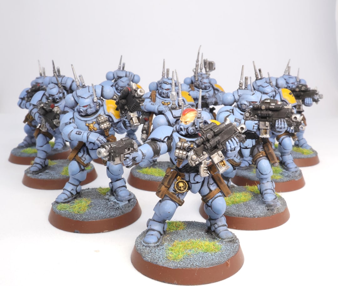 Painted Space Marines Primaris Infiltrators Space Wolves Warhammer 40k ...