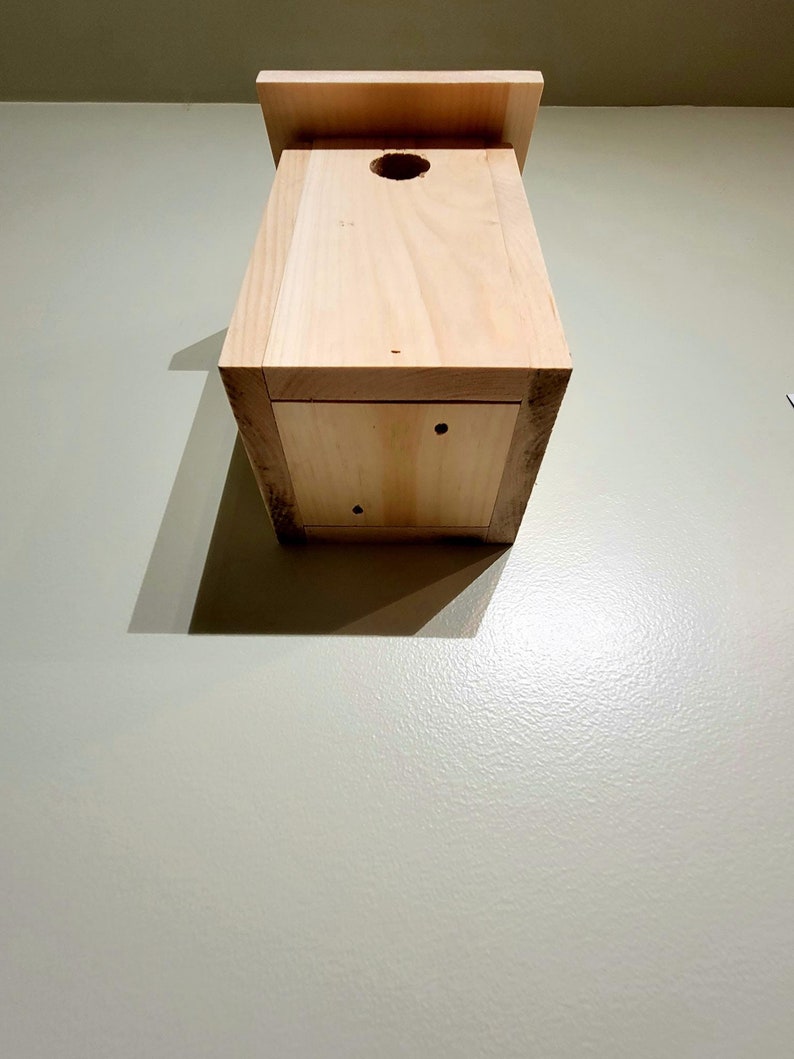 Do-it-yourself! Bluebird House Kit - Etsy