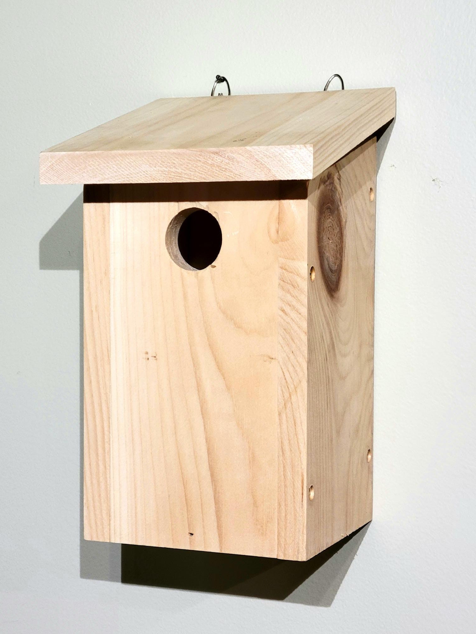 Do-it-yourself! Bluebird House Kit - Etsy