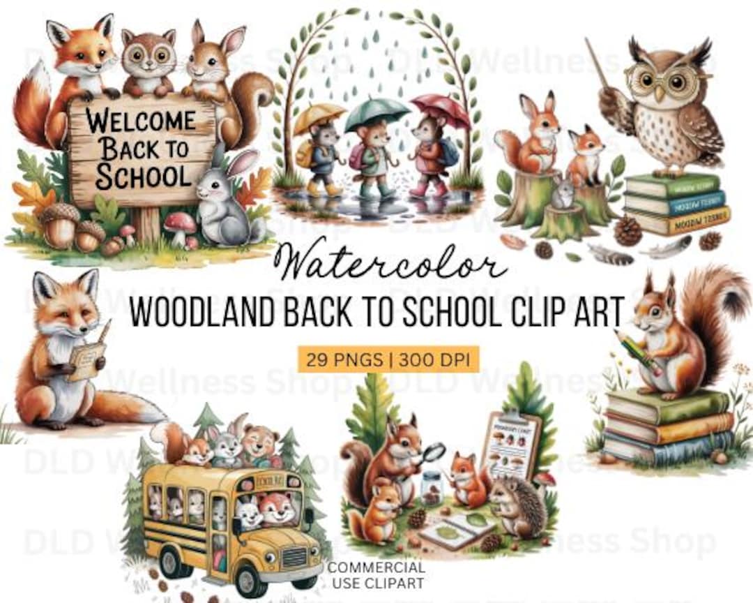 Woodland Back to School Clipart, Animal School Pngs, Digital Art for ...