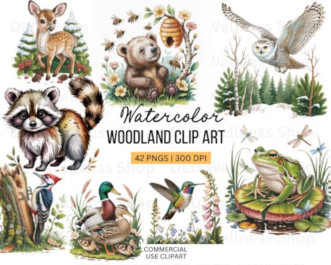Watercolor Woodland Clipart, PNG Digital Download, Forest Animals Art ...