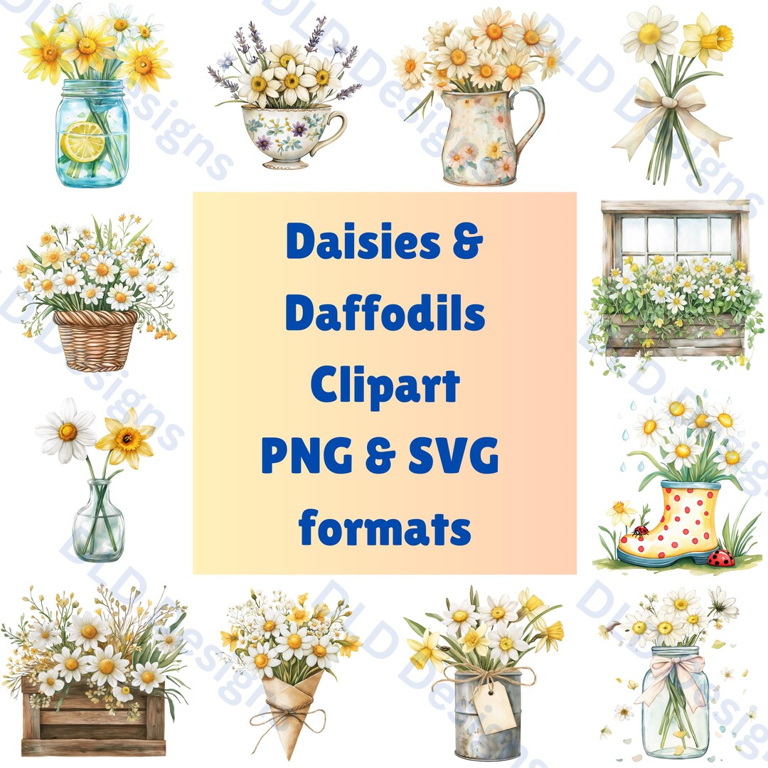 Daisy Daffodil Clipart, Flower Digital Art, PNG SVG Bundle, Floral ...