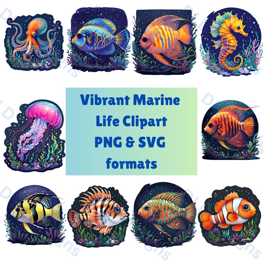 Marine Life Clipart Collection, 12 Vibrant Marine Creatures Images ...