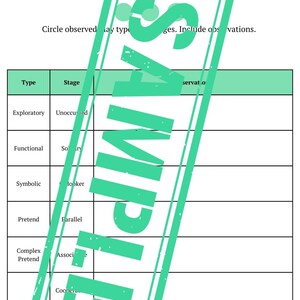 Informal Assessment Template (paediatric Speech Pathology) - Etsy