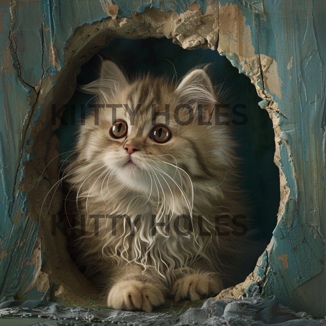 12-persian-kitten-child-bedroom-wall-art-kitten-png-commercial-use