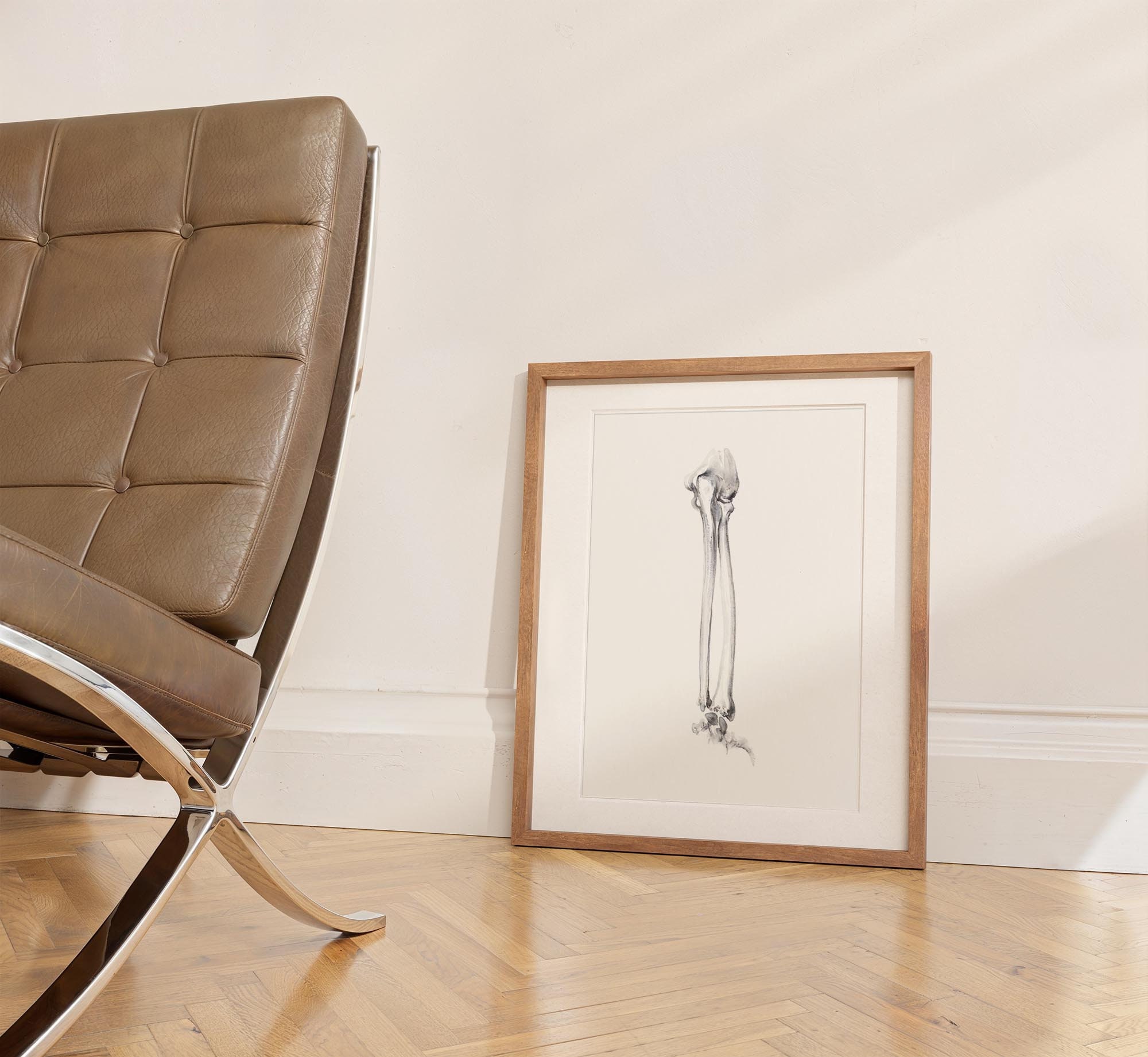 Ulna Arm Bone Watercolor Painting Art Print, Chiropractic Wall Art ...