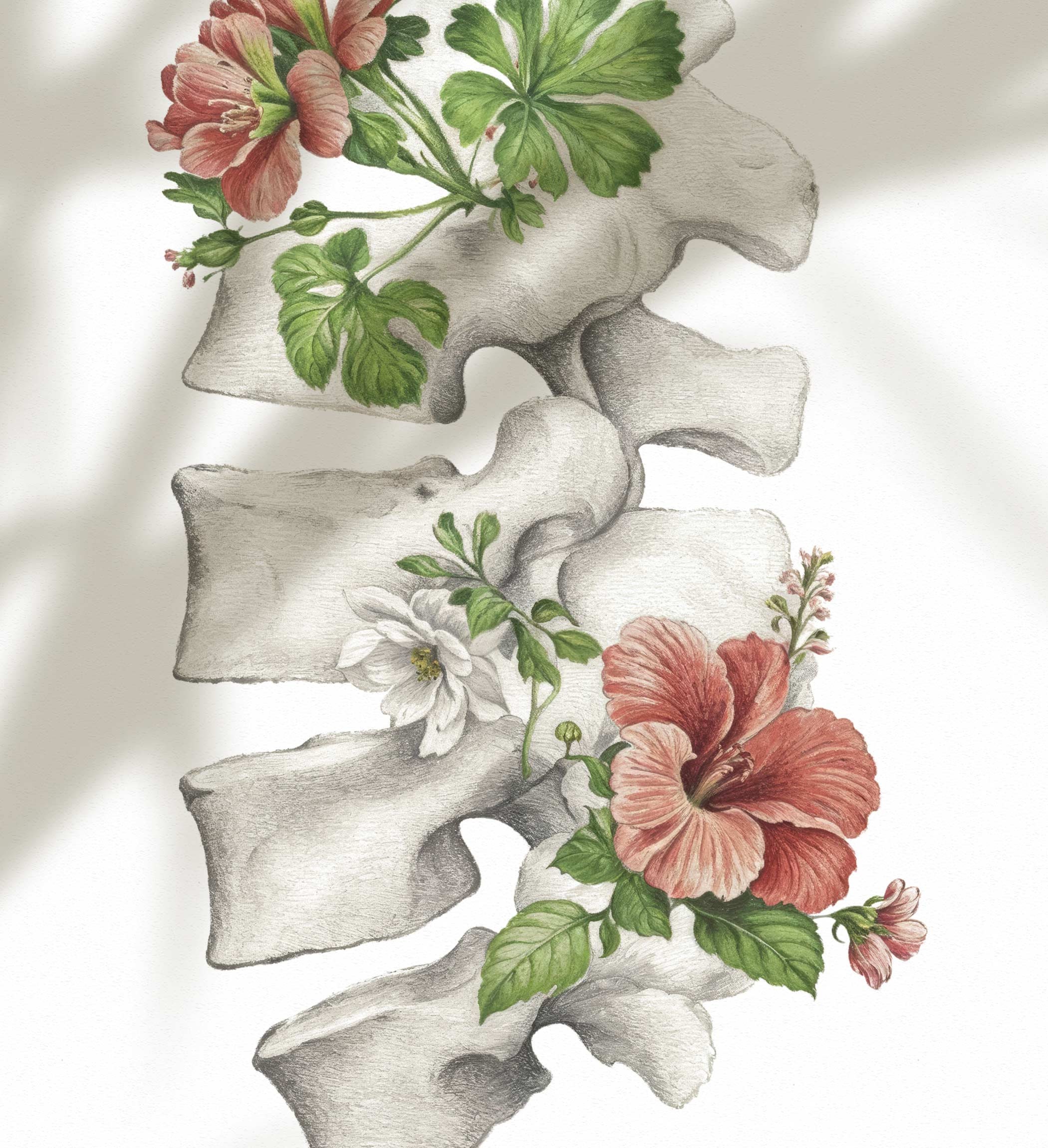 11 Botanical Human Skeleton Bone Printables, Floral Anatomy Wall Art ...