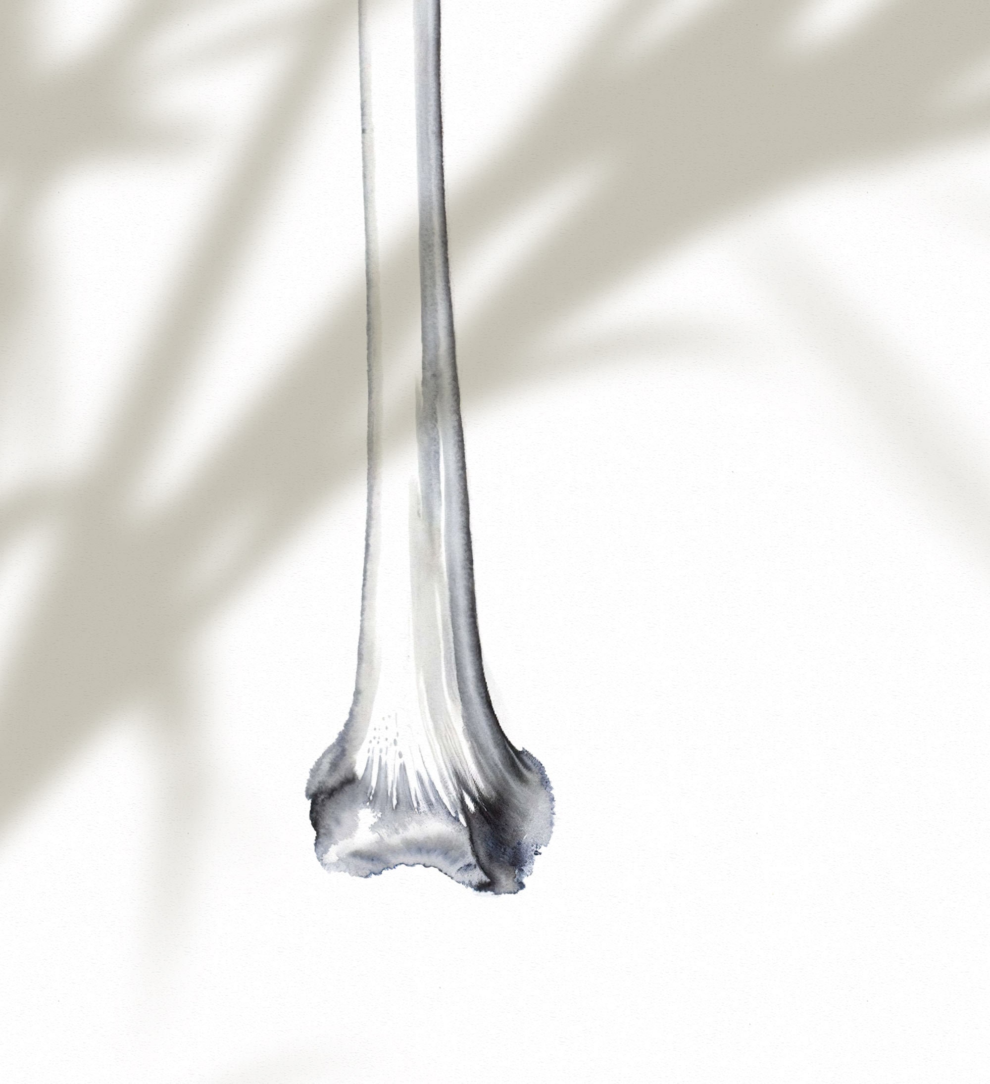 Femur Bone Art Print, Watercolor Leg Bone Illustration, Orthopedic Art ...