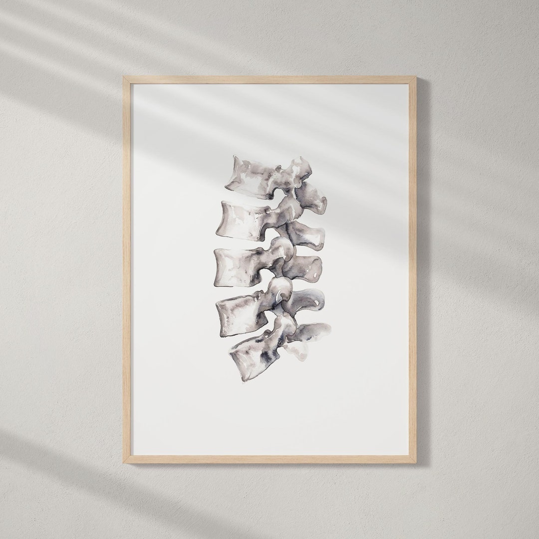 Watercolor Lumbar Vertebrae Side View Painting, Printable Lower Back ...