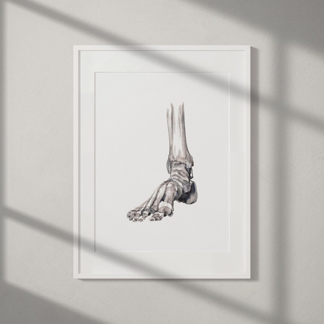 Human Skeleton Foot Art Print, Watercolor Foot Anatomy, Chiropractic ...