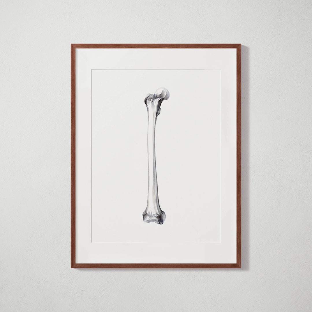 Femur Bone Art Print, Watercolor Leg Bone Illustration, Orthopedic Art ...