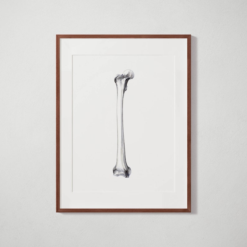 Femur Bone Art Print, Watercolor Leg Bone Illustration, Orthopedic Art ...