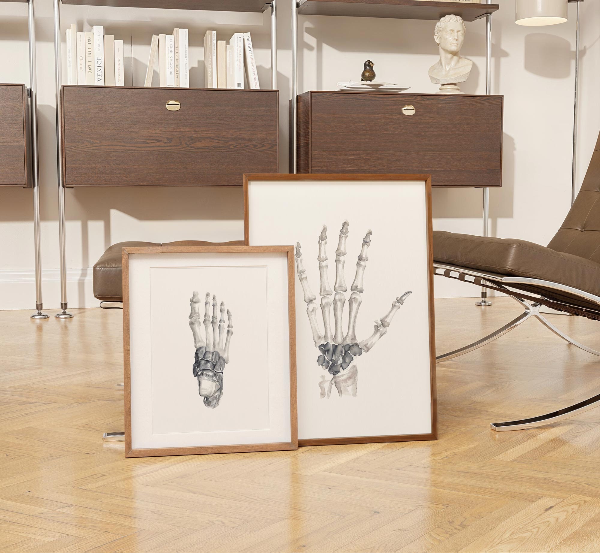 16 Watercolor Human Skeletal Bone Set, Abstract Chiropractic Printable ...