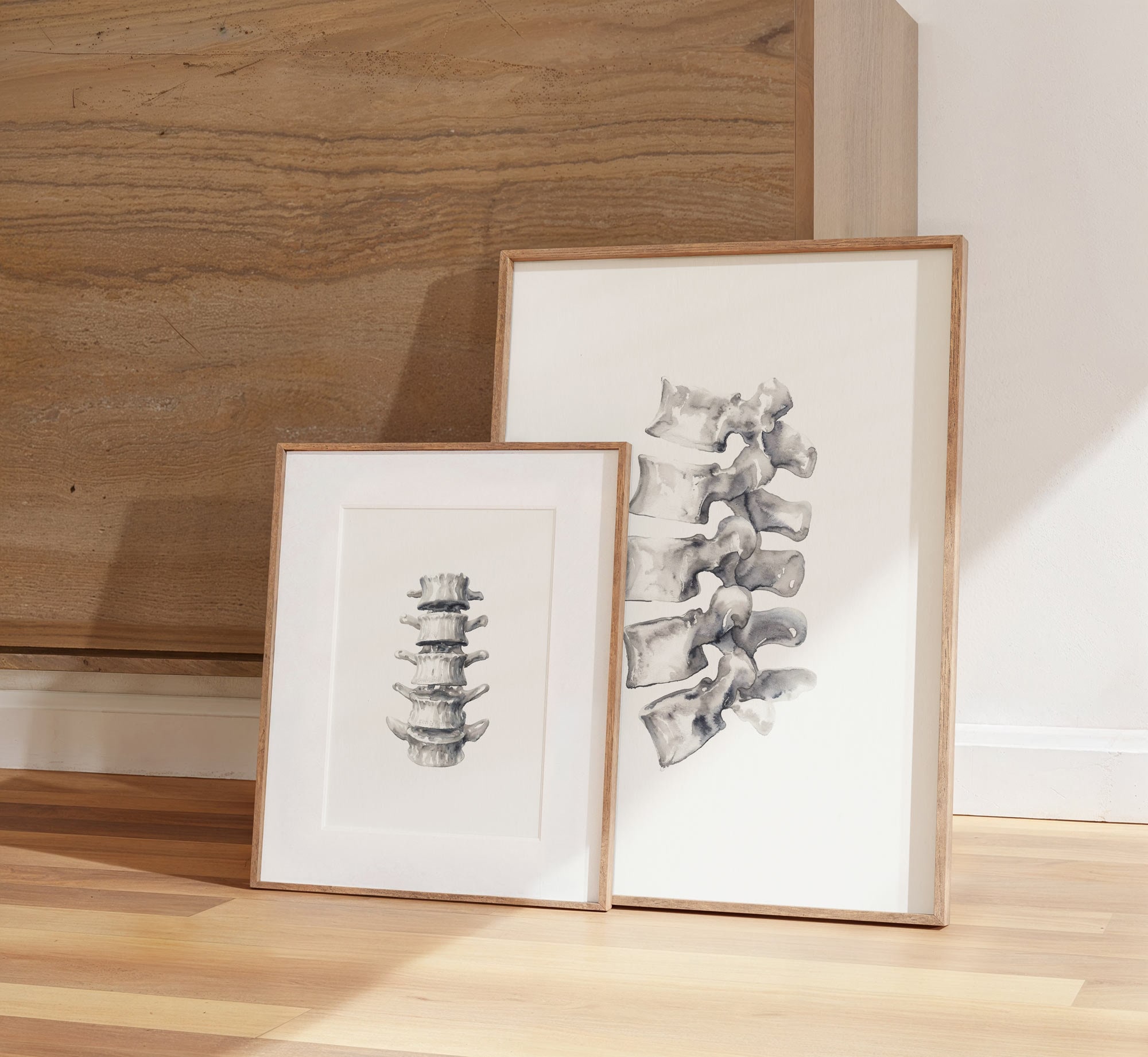 16 Watercolor Human Skeletal Bone Set, Abstract Chiropractic Printable ...