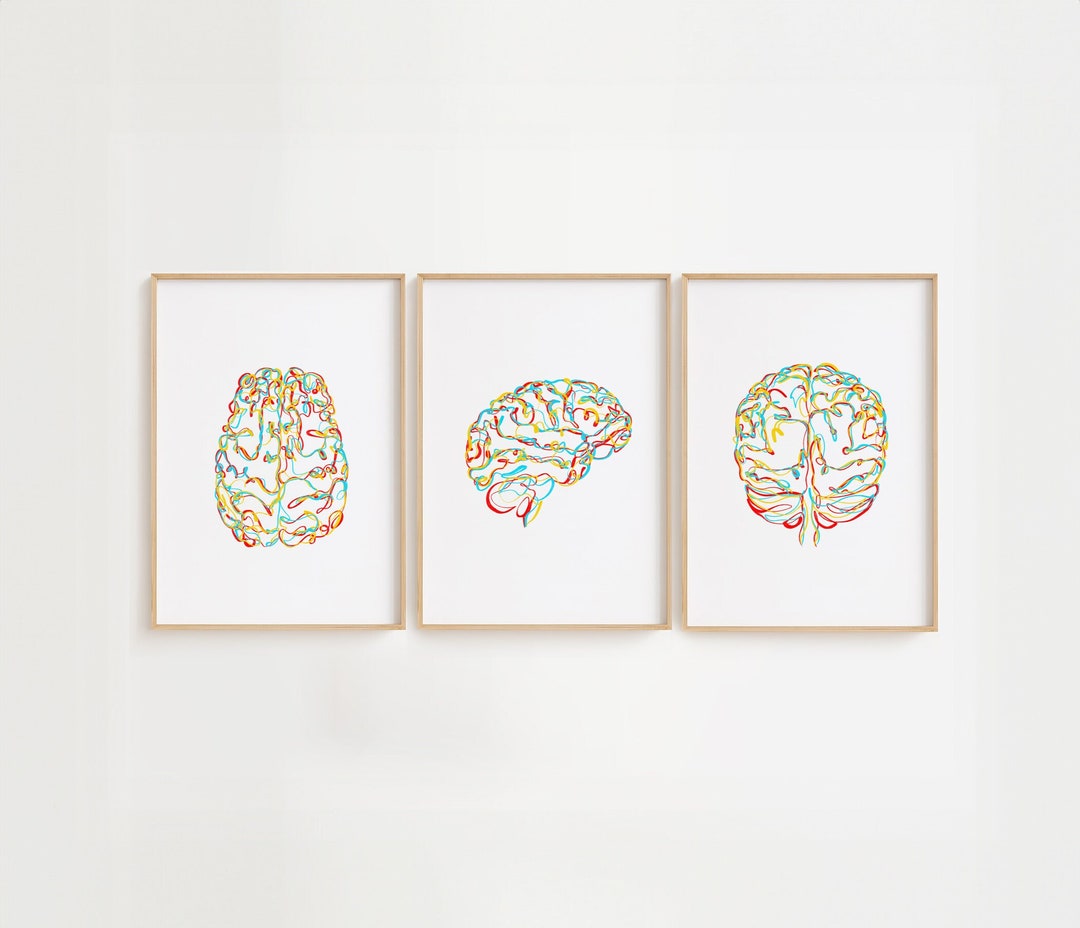 Abstract Brain Set of 3, Brain Line Art Drawing Bundle, Neuroscience ...