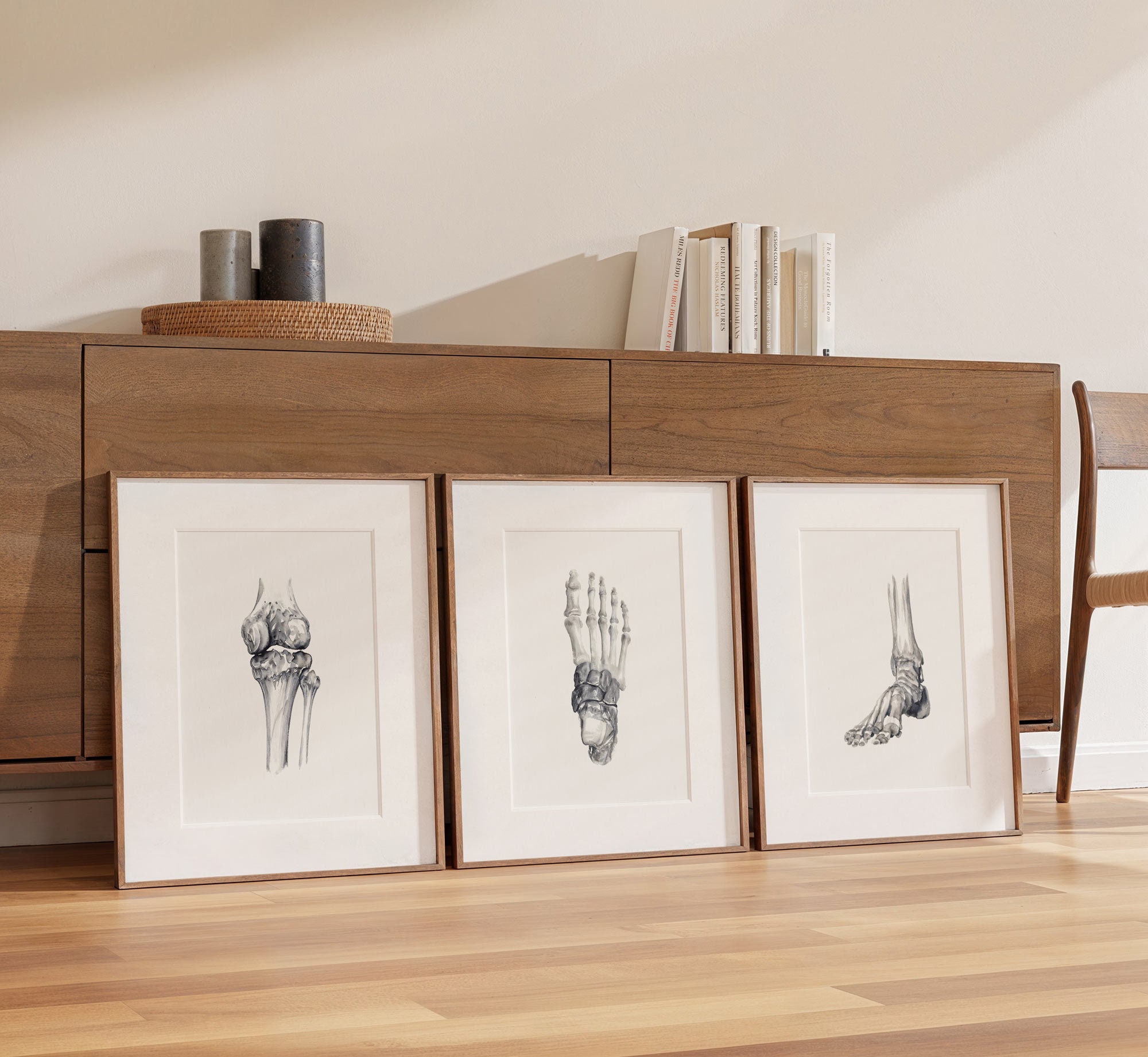 16 Watercolor Human Skeletal Bone Set, Abstract Chiropractic Printable ...