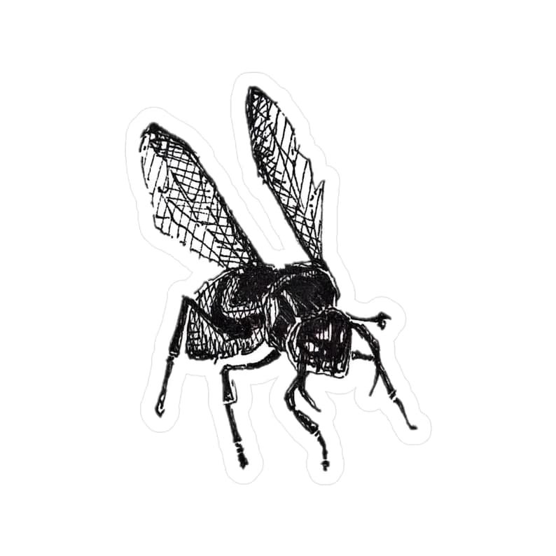 The Wasp Sticker | Bug Art by Penswrld, Scientific Illustration, Fine ...