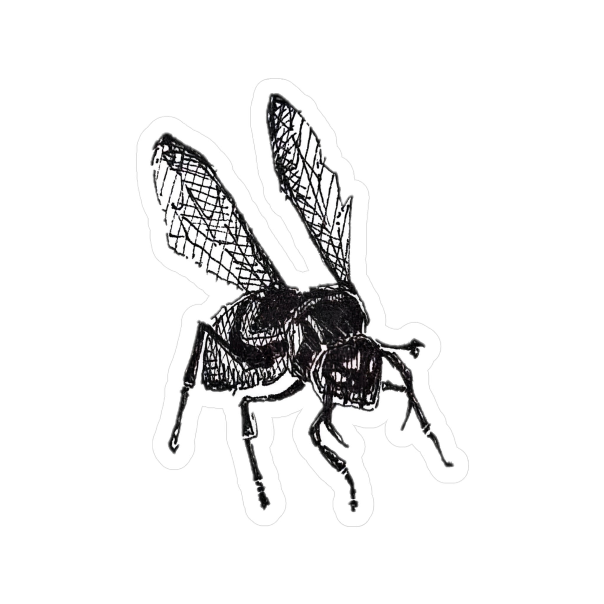 The Wasp Sticker | Bug Art by Penswrld, Scientific Illustration, Fine ...