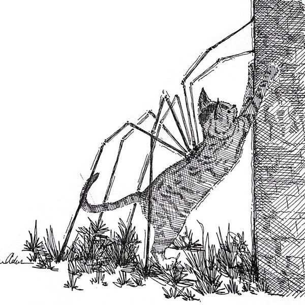 The Ladybug Digital Print Bug Art by Penswrld, Fine Line and ...