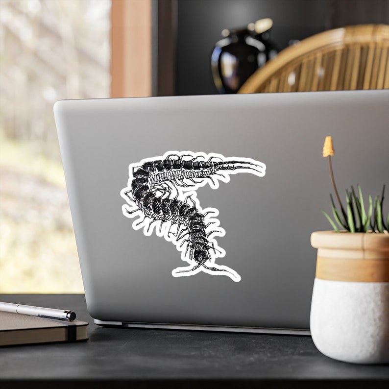 The Centipede Sticker | Bug Art by Penswrld, Scientific Illustration ...